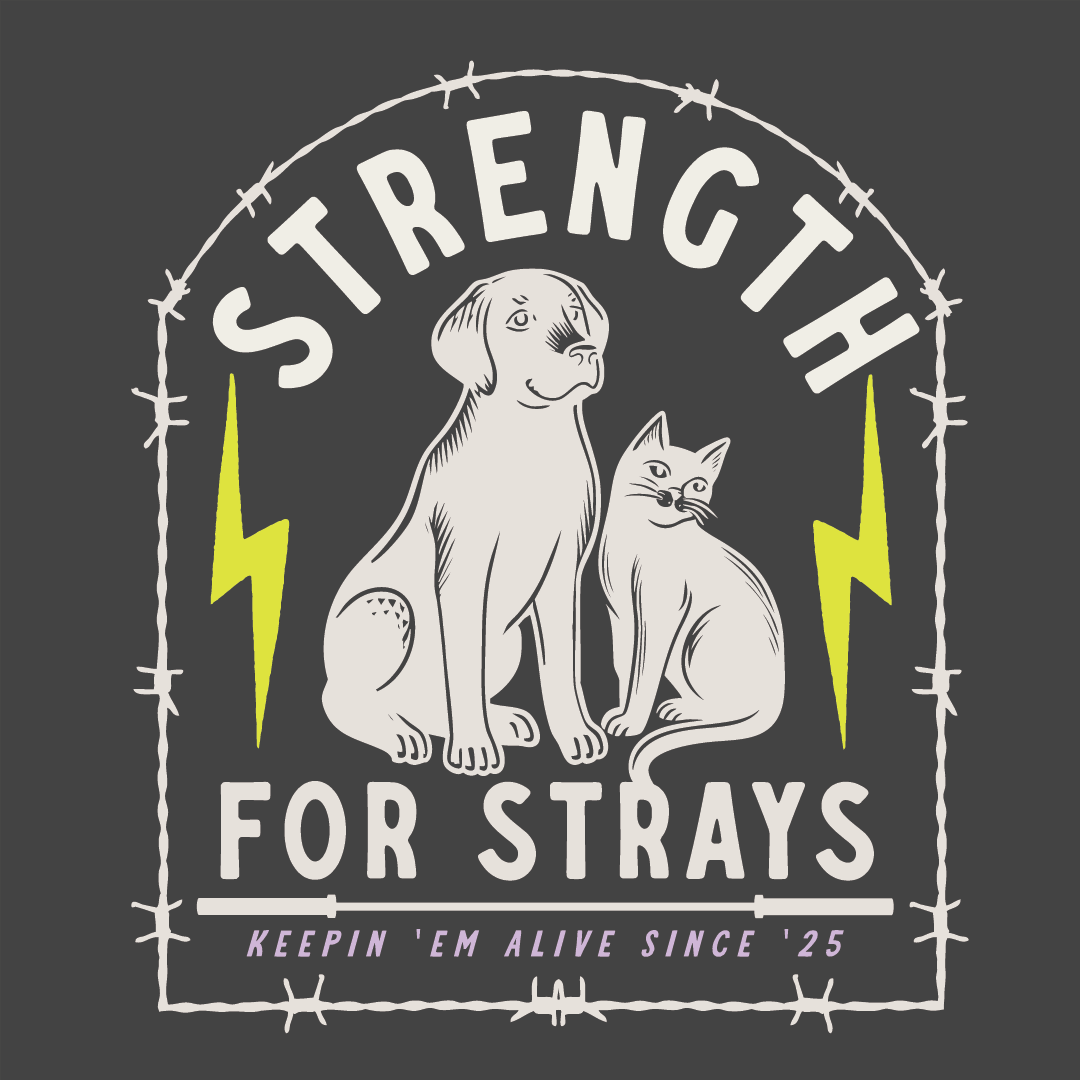DONATE NOW – Strength For Strays